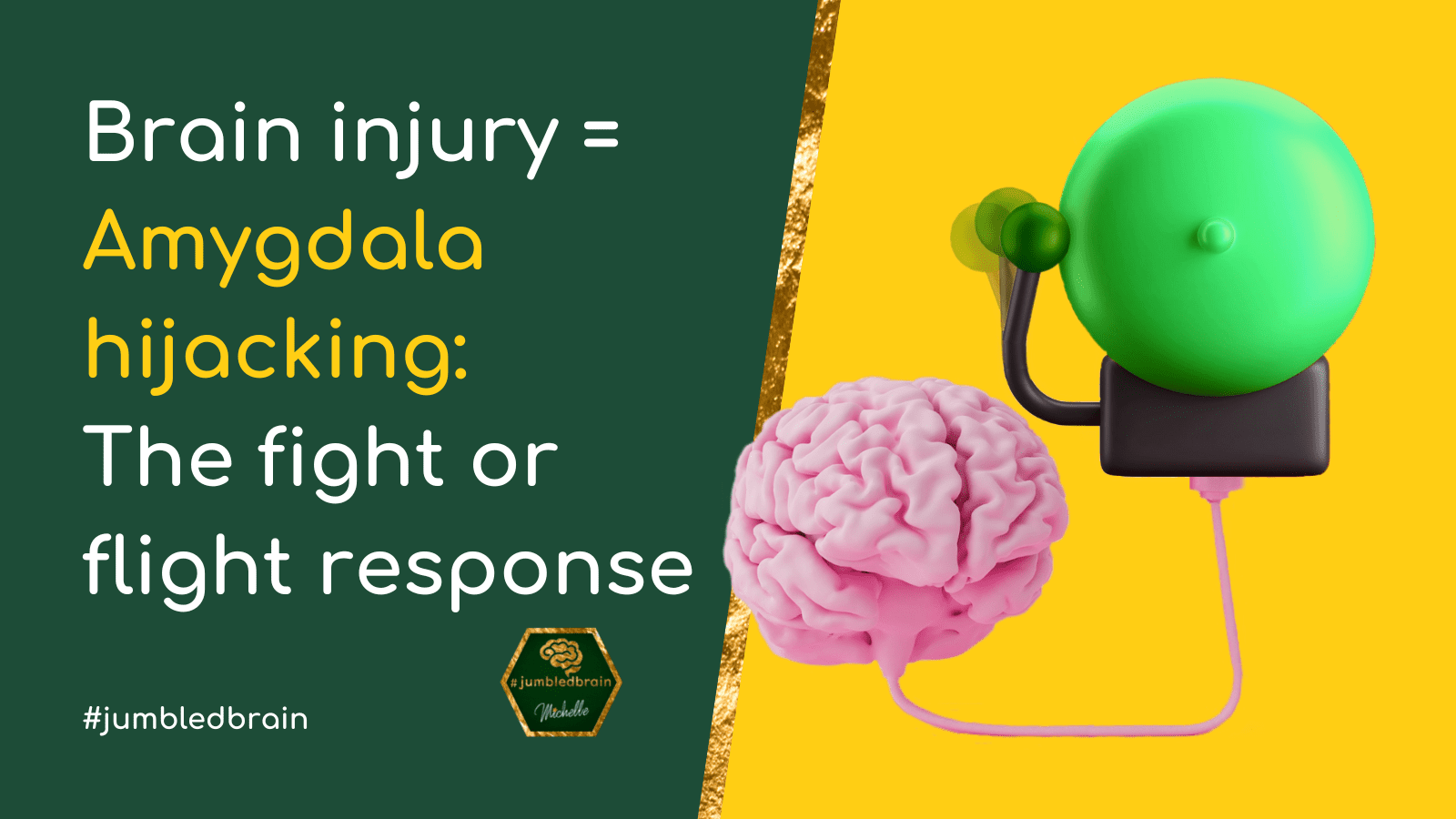brain injury = amygdala hijacking. Fight or flight response #jumbledbrain